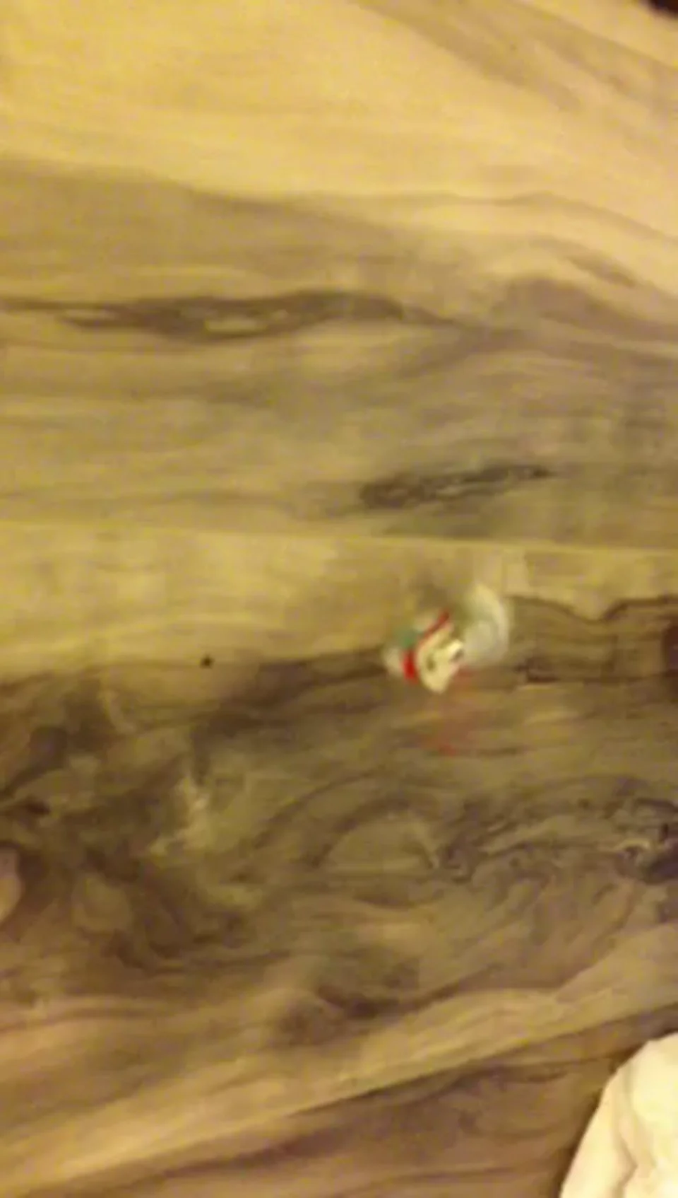 Bristle Bot Moving on Vimeo