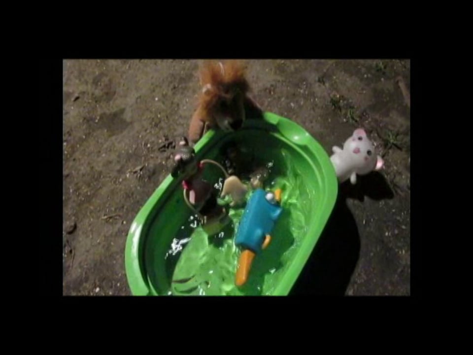 Perry (stop motion) on Vimeo