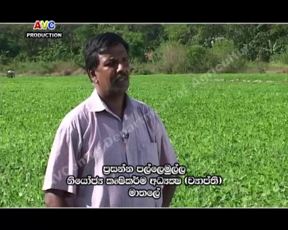 2013_08_16 Mihikatha on Vimeo