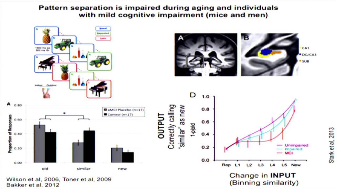 Neural Circuits, Synaptic Plasticity and Brain Basis Of Memory - Amar ...
