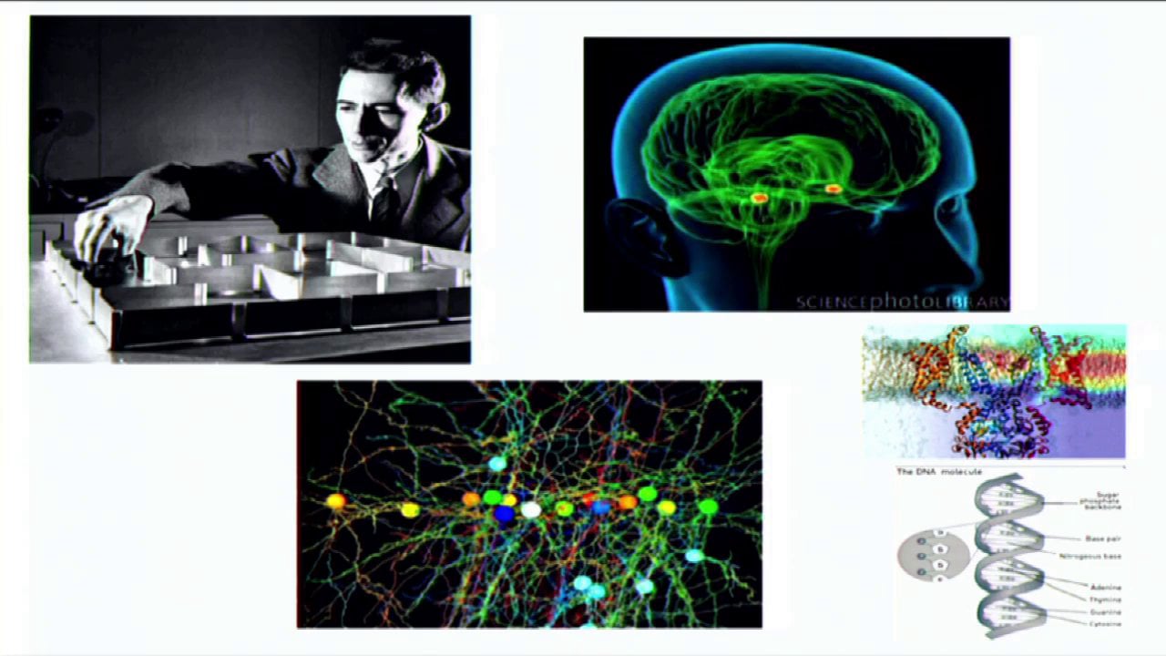 Visualizing Neural Activities - Loren Looger, Howard Hughes Medical ...