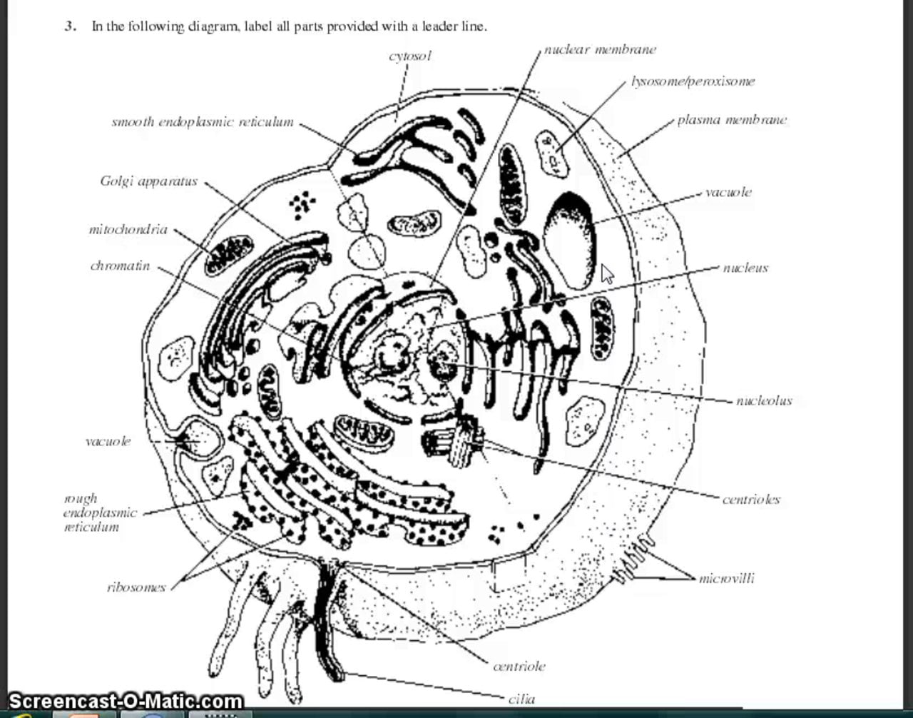Anatomy fo the Composite Cell on Vimeo