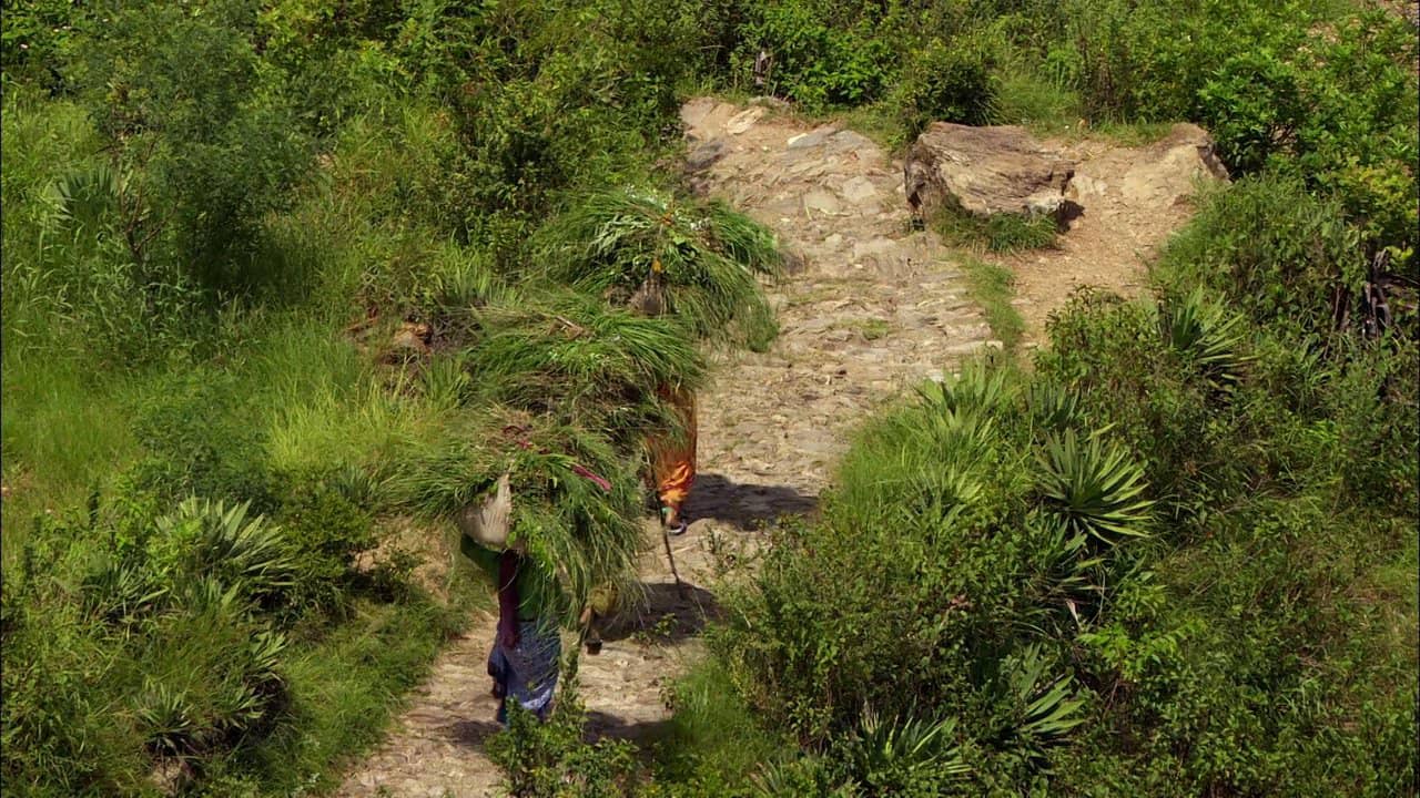 PREVIEW: Traditional India on Vimeo