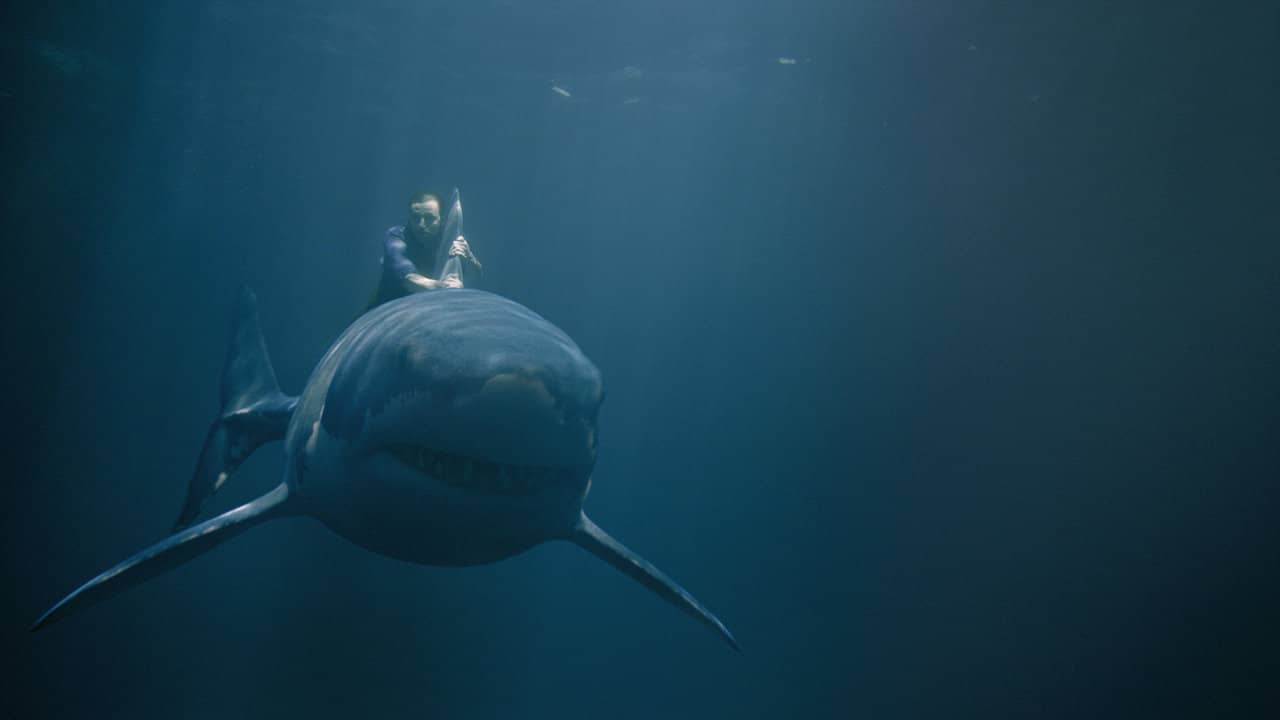 Vodafone - Add Power To Your Life on Vimeo