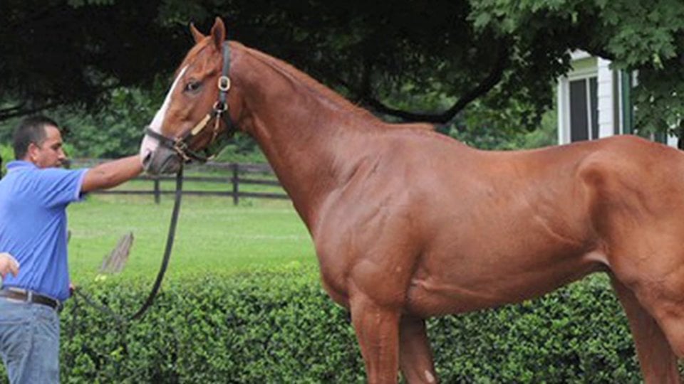 Josh Pons discusses Maryland-Bred Awards Program on Vimeo