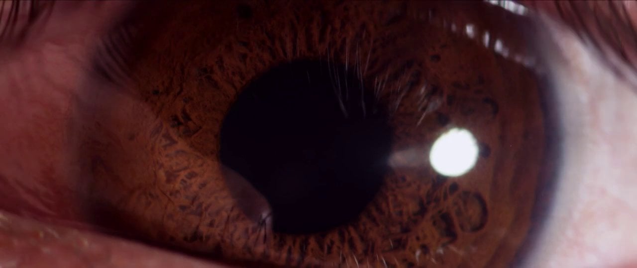 Eyeball 7 - 20s - 4k res - FREE STOCK FOOTAGE on Vimeo