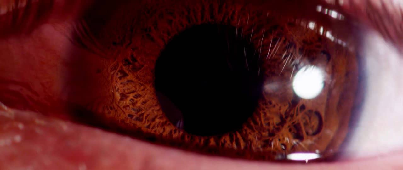Eyeball 8 - 15s - 4k res - FREE STOCK FOOTAGE on Vimeo