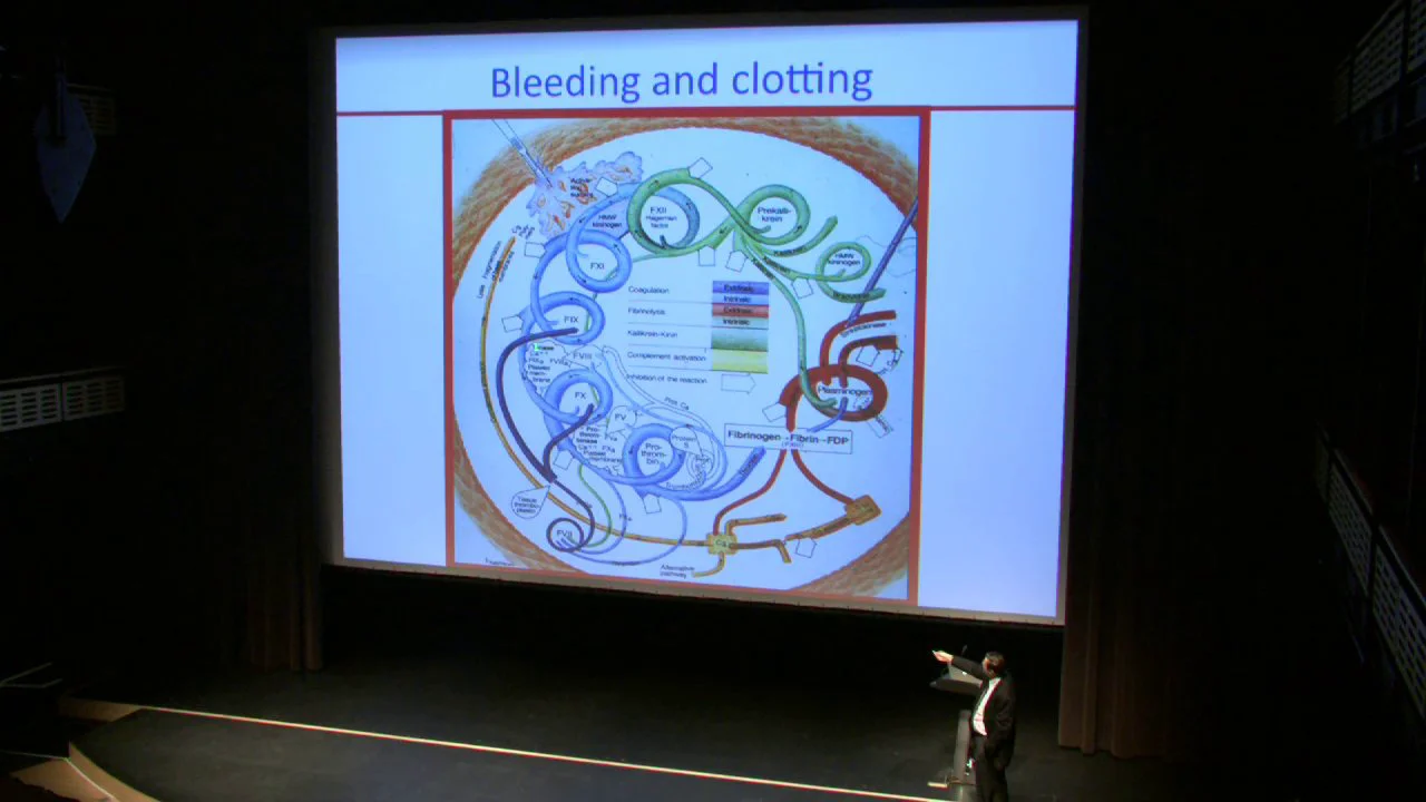 Robert J. Linhardt: New Frontiers in Glycoscience and Glycoengineering ...