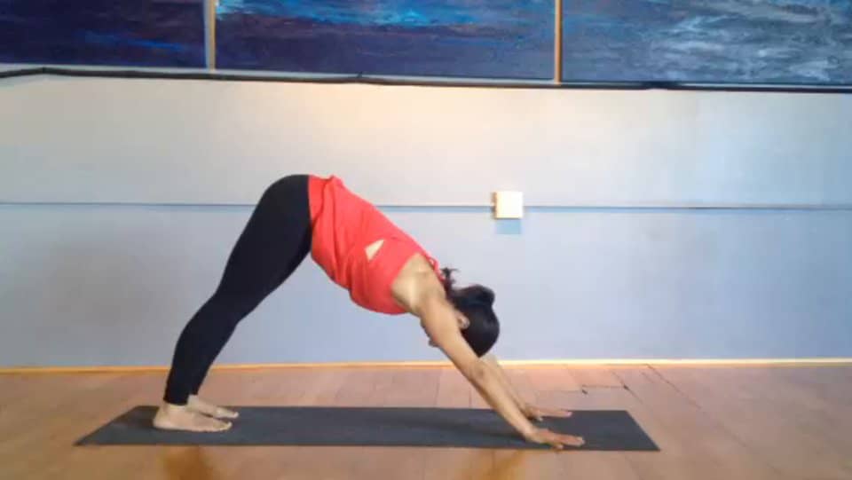 Pigeon Pose on Vimeo