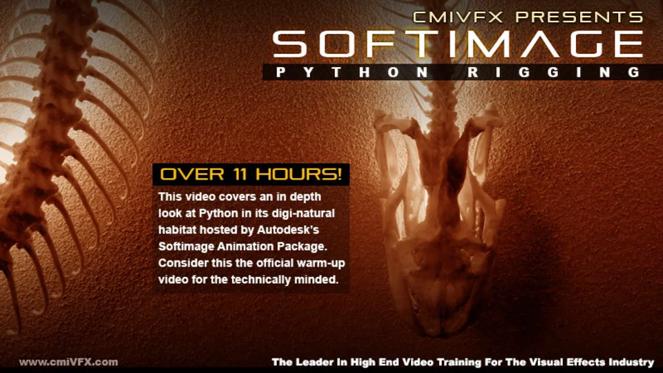 MODULAR RIGGING WITH PYTHON IN AUTODESK SOFTIMAGE on Vimeo