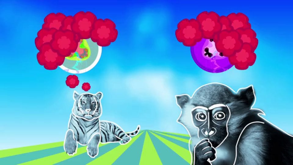 Kids Thirteen Station IDs on Vimeo