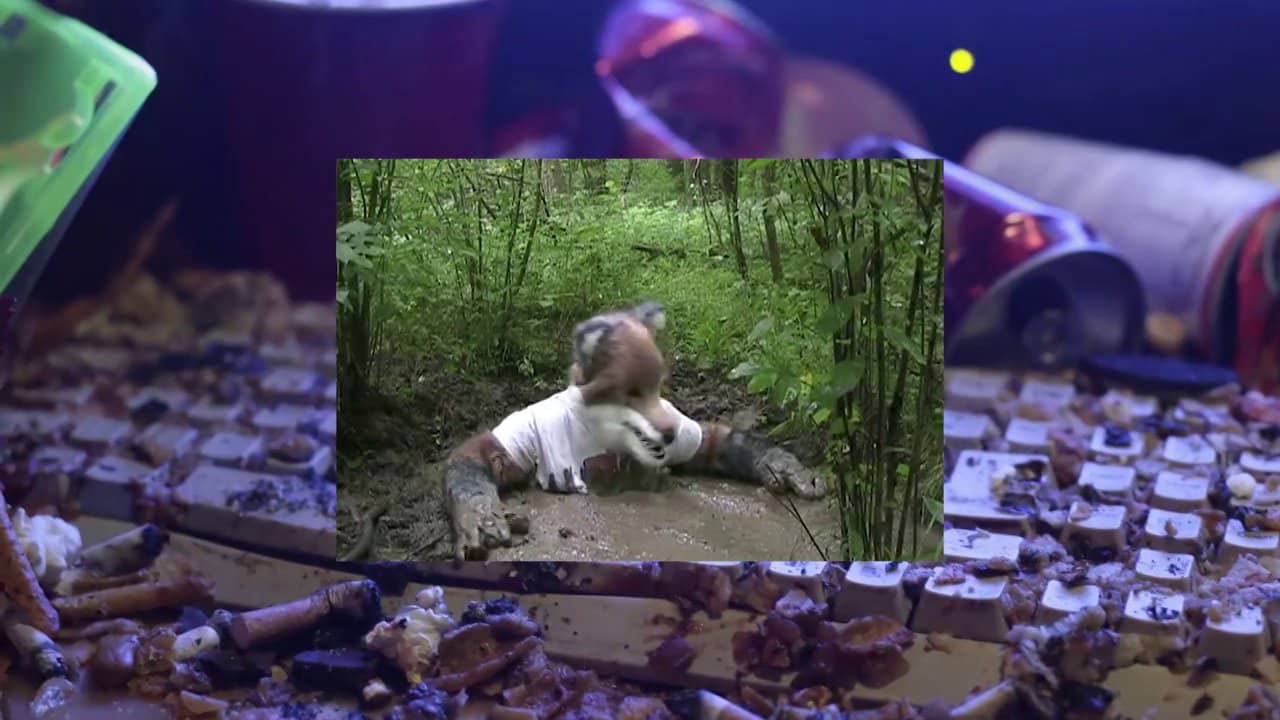 Jon Rafman + OPN, STILL LIFE: BETAMALE (2013) on Vimeo