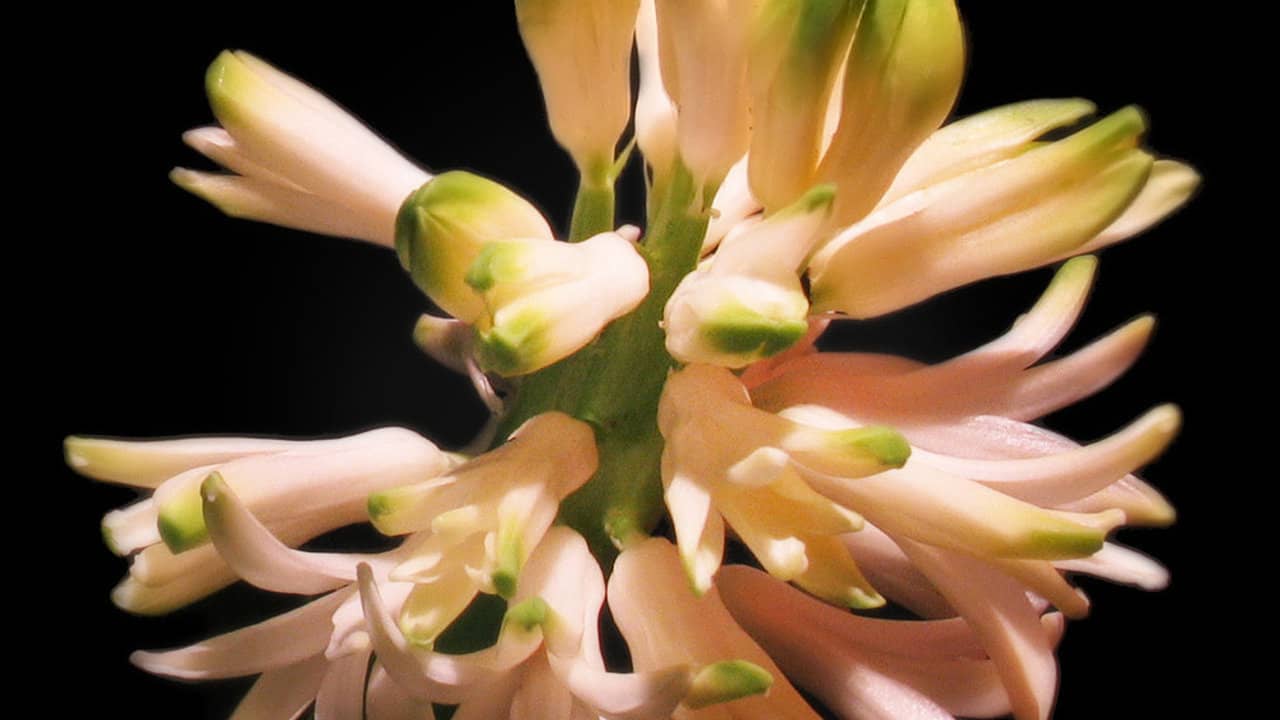 Time-Lapse Movie Reverse - TEMPONAUT Time-Lapse Footage on Vimeo