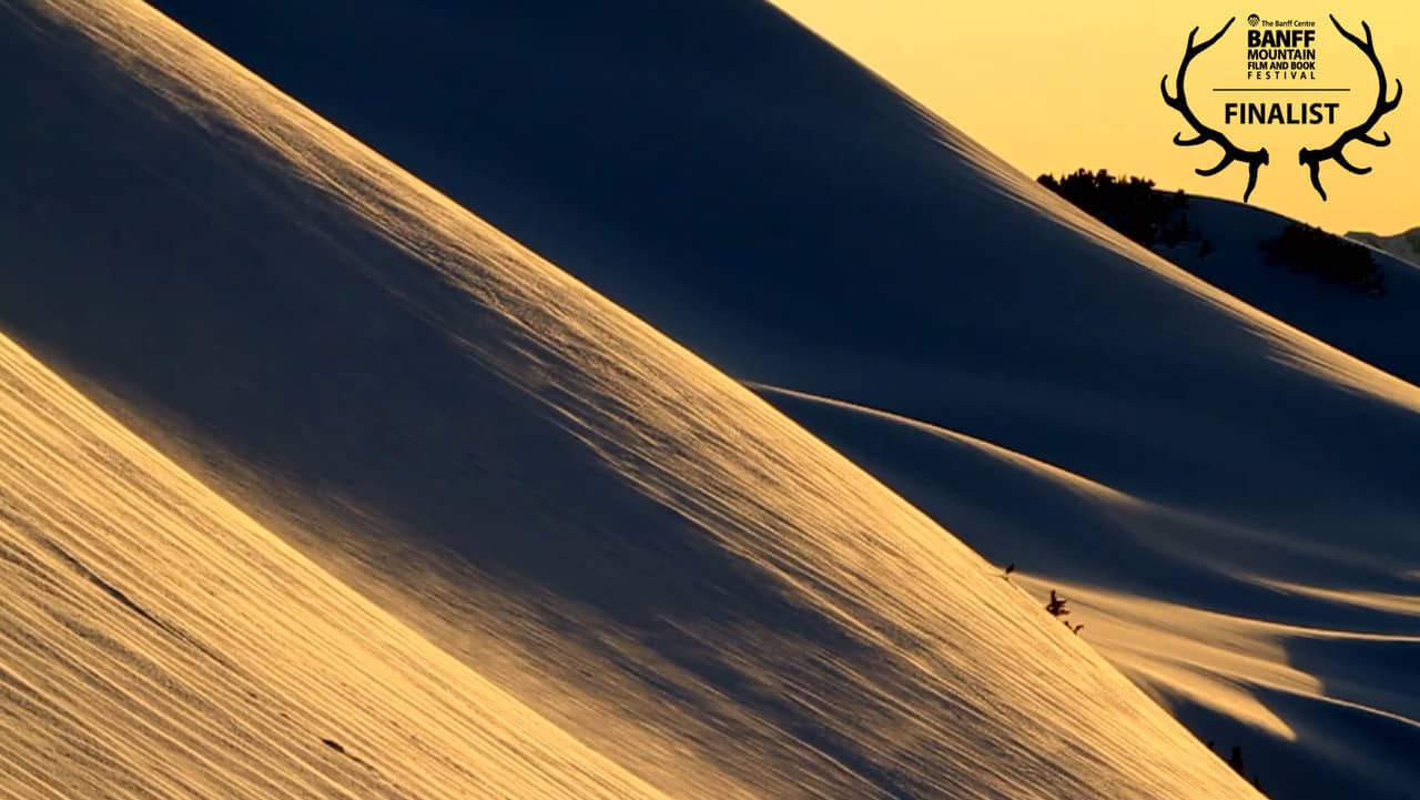 An Endless Spring Day on Vimeo