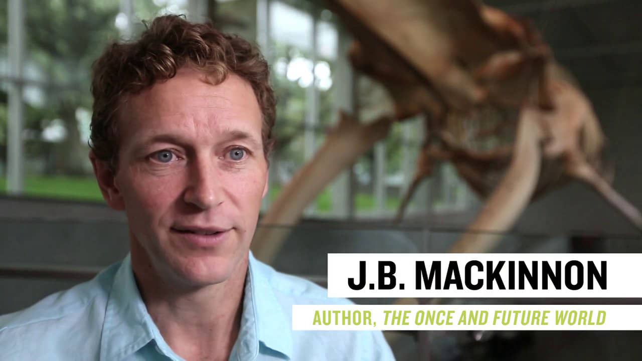 J.B. MacKinnon wants to get wild on Vimeo