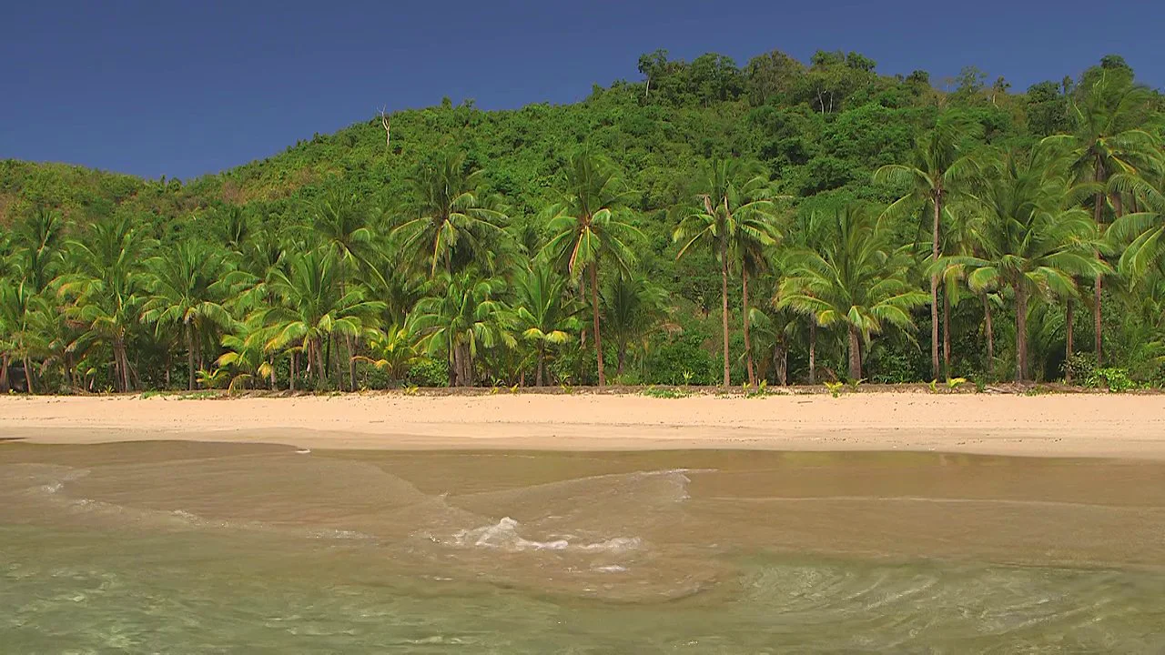 Watch Beach Video - Tropical Beaches with relaxing Videos of Nature ...