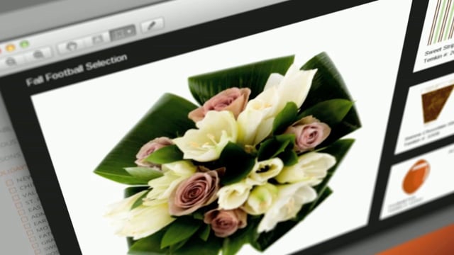 Animation & Motion Graphics Samples on Vimeo