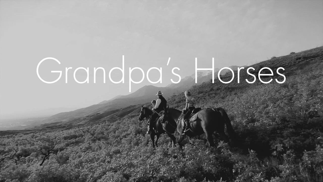 Grandpa's Horses