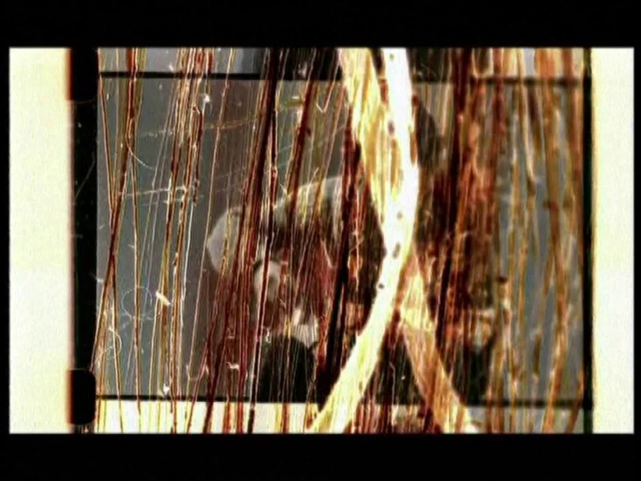 Motorpsycho - The Nerve Tattoo on Vimeo