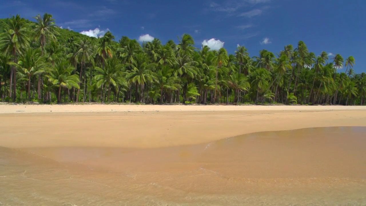 Watch Relaxing Beach - A Day at The Tropical Beach for Relaxation with ...