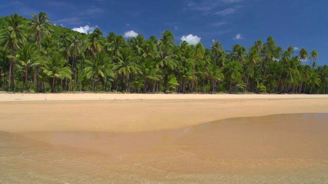 Watch Relaxing Beach - A Day at The Tropical Beach for Relaxation with ...