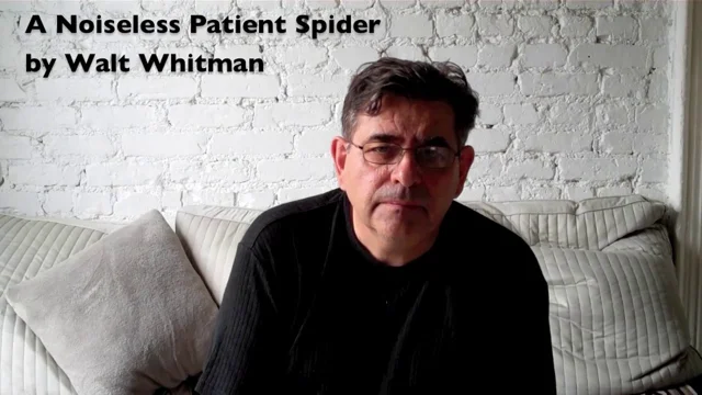 A Noiseless Patient Spider