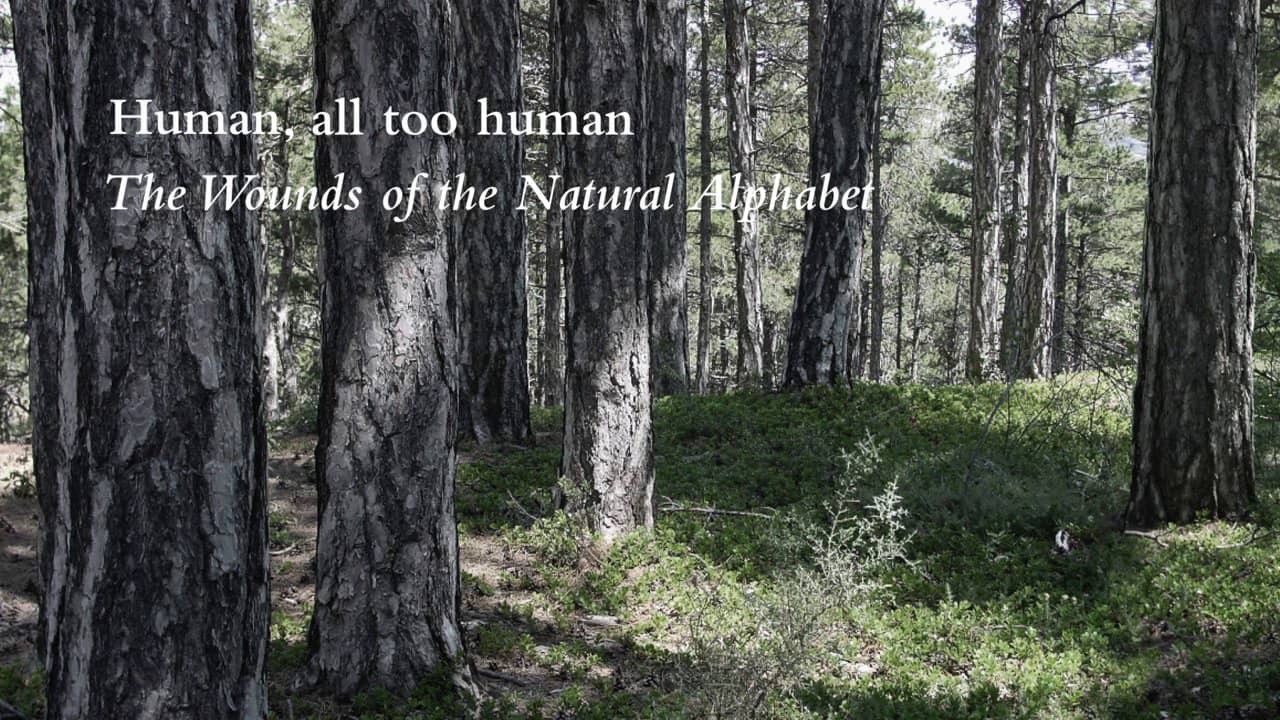 Human, all too human on Vimeo