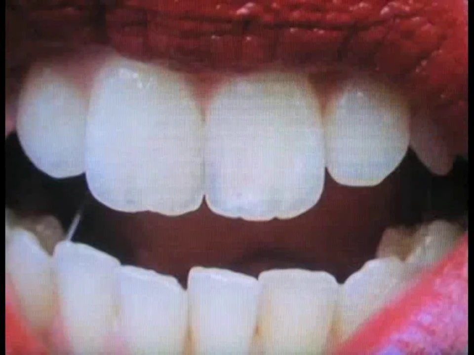 vageen-dentat on Vimeo