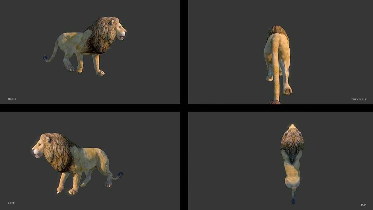 LION Walk Cycle on Vimeo