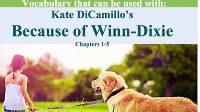 Because of Winn-Dixie on Vimeo
