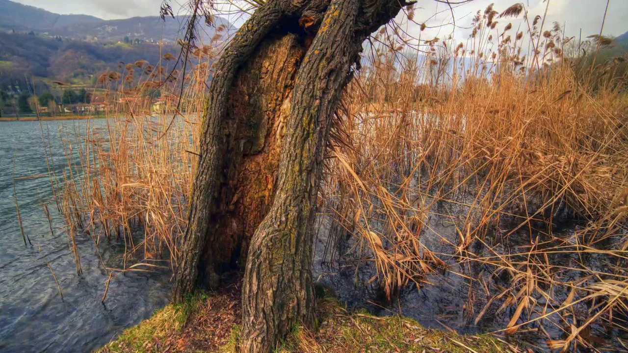 Long tracking shot timelapse