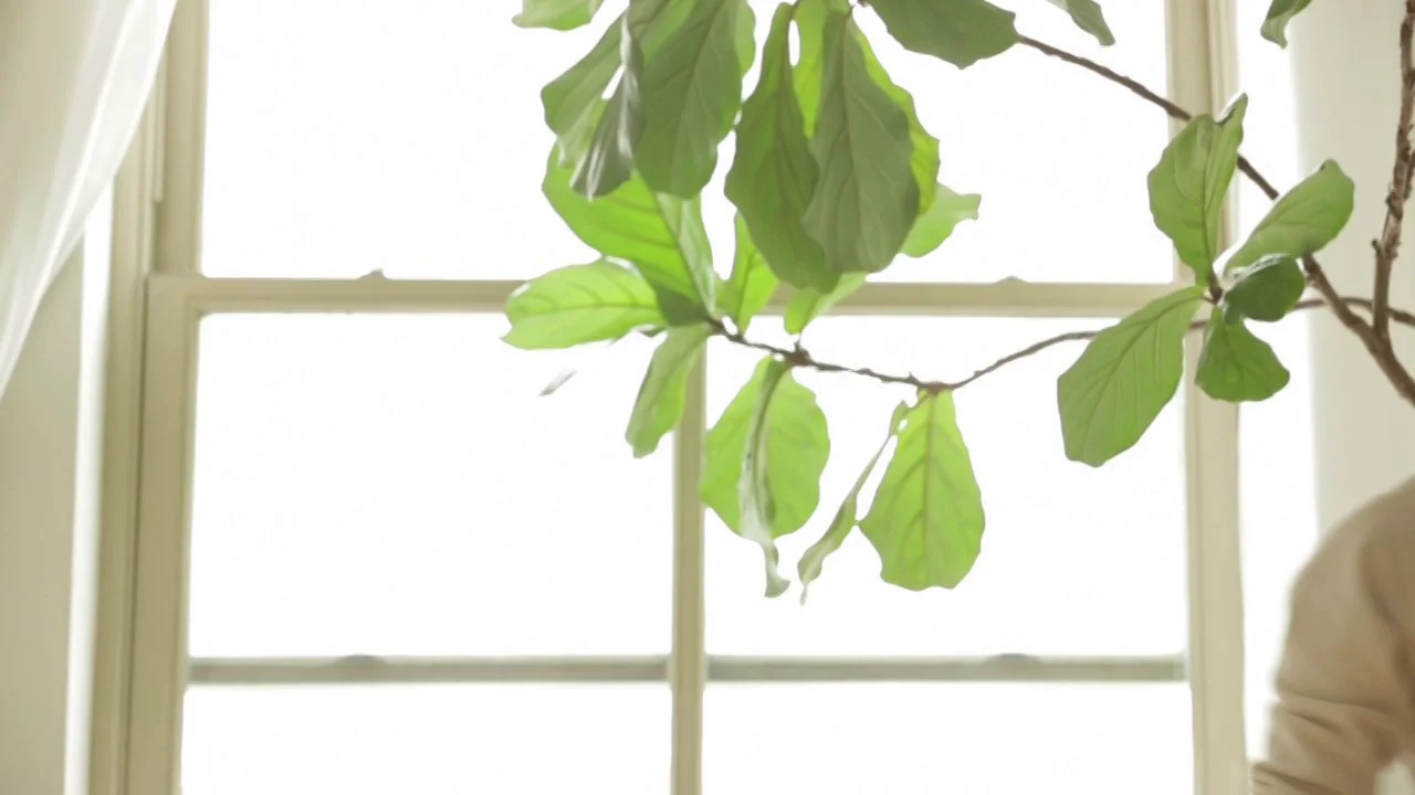 © Victor Matthews painting - Discover talent!