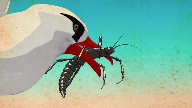 Tree Lobster 80 Years