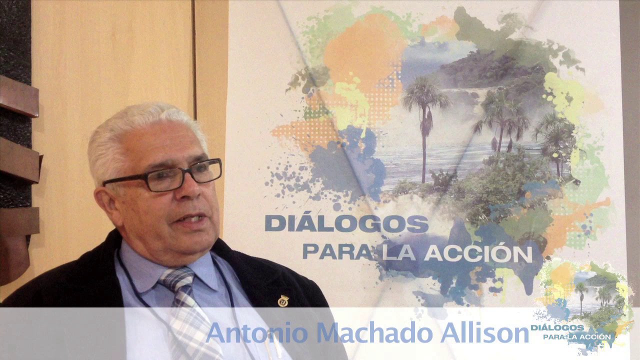Machado Allison Entrevista on Vimeo