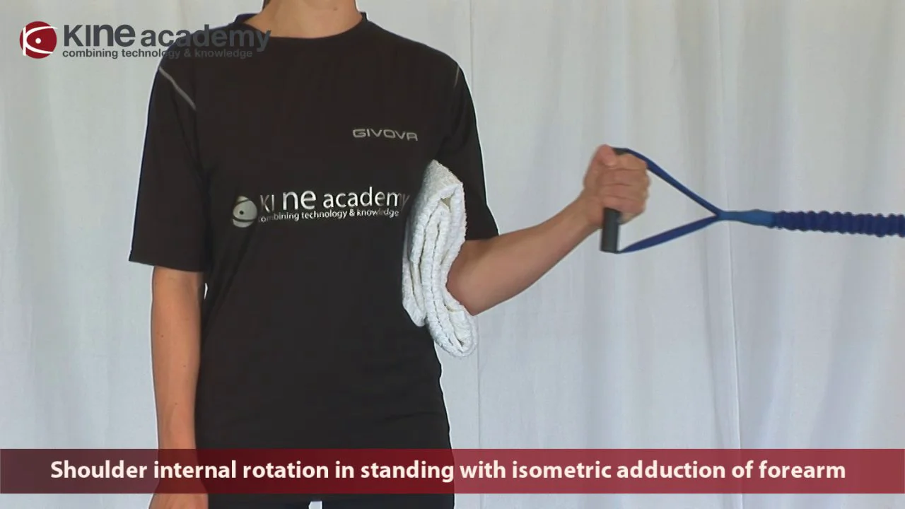 113-Shoulder int rot in standing w isometric adduction of forearm on Vimeo