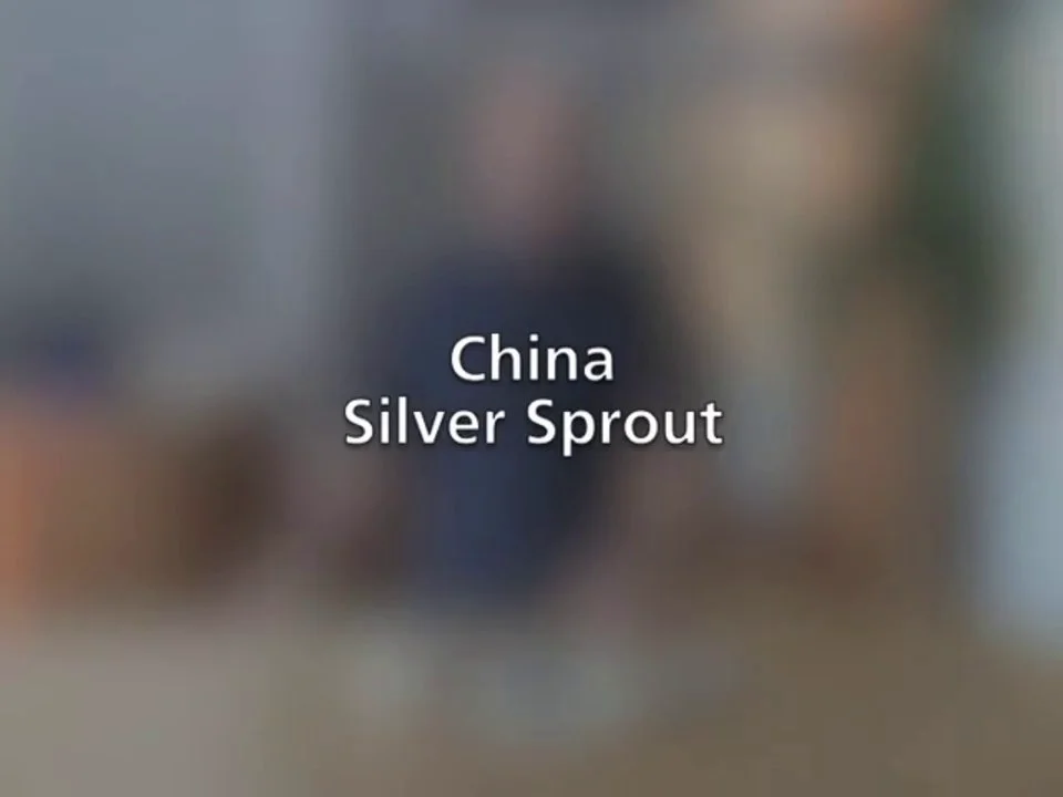 China Silver Sprout on Vimeo