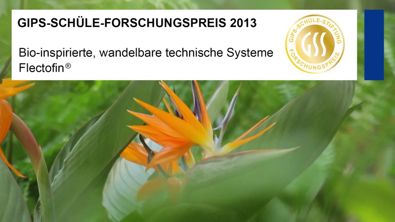Gips-Schüle-Forschungspreis: Flectofin® on Vimeo