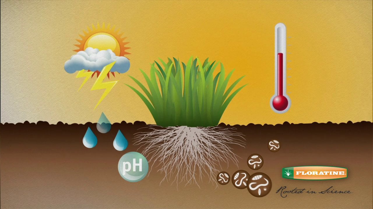 Floratine Foliar Feeding - GCSAA TV