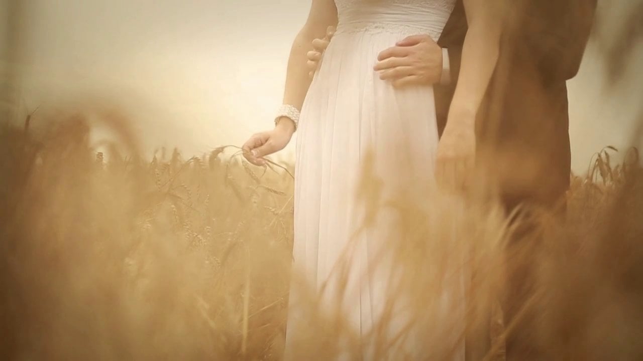 Elena & Dima - Wedding Highlights on Vimeo