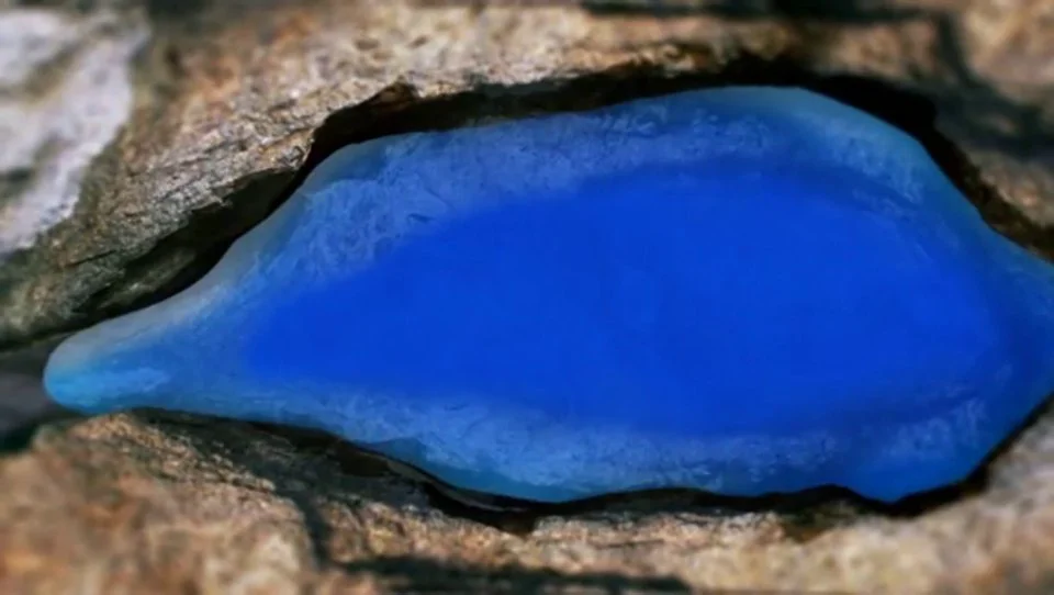 Residual Trapping - Secure Geological CO2 Storage (source: CO2 Capture ...