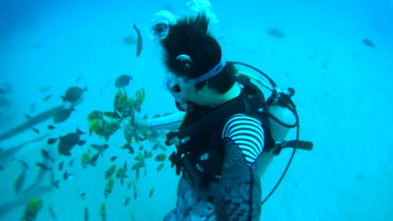 dive tour131104-2 on Vimeo