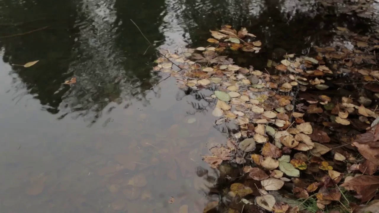 A conversation with Robert florian on Vimeo
