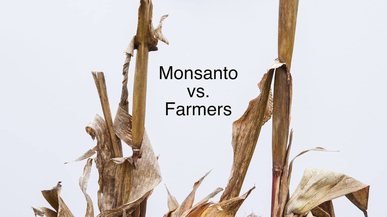 Monsanto vs Farmers on Vimeo