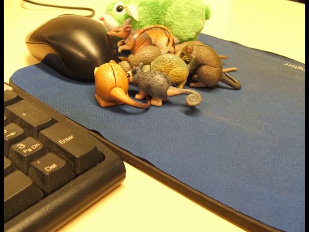 MICE on Vimeo