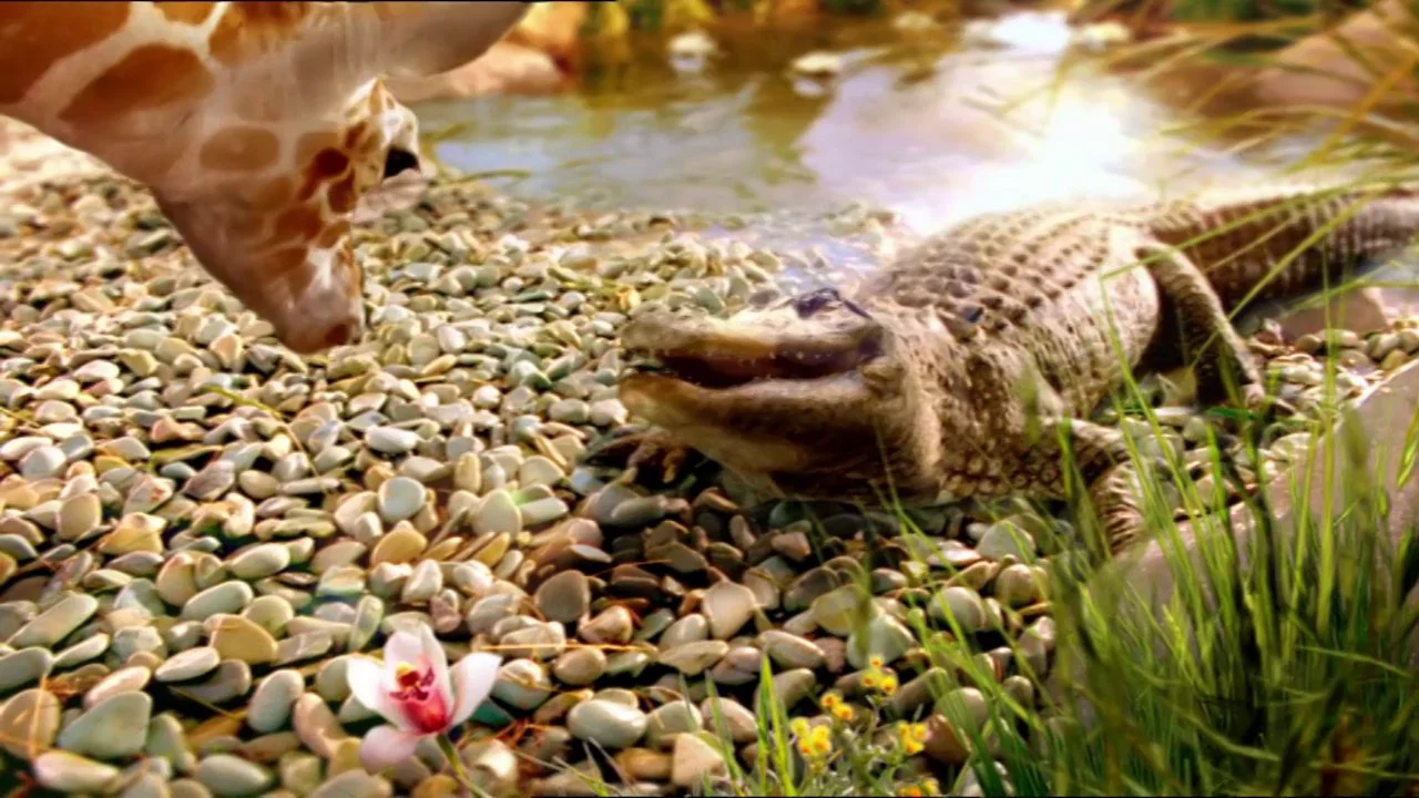 Optus Harmony on Vimeo