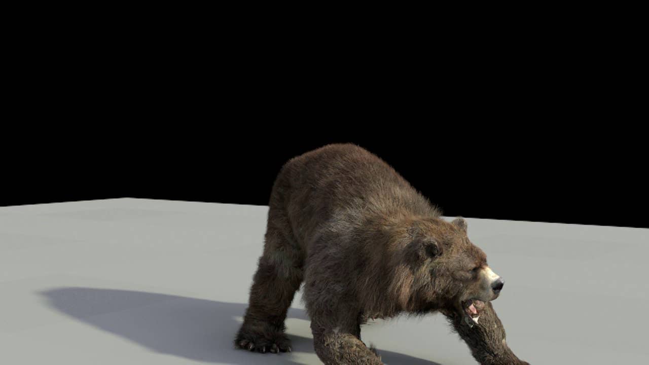Bear Fur R&D v01 on Vimeo