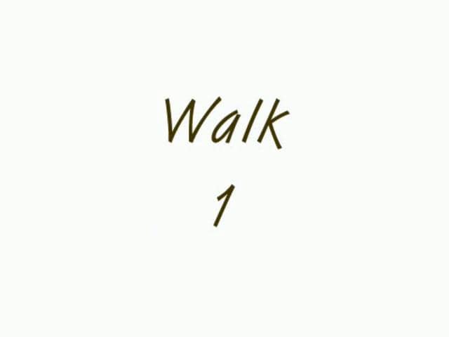 19 walks on Vimeo