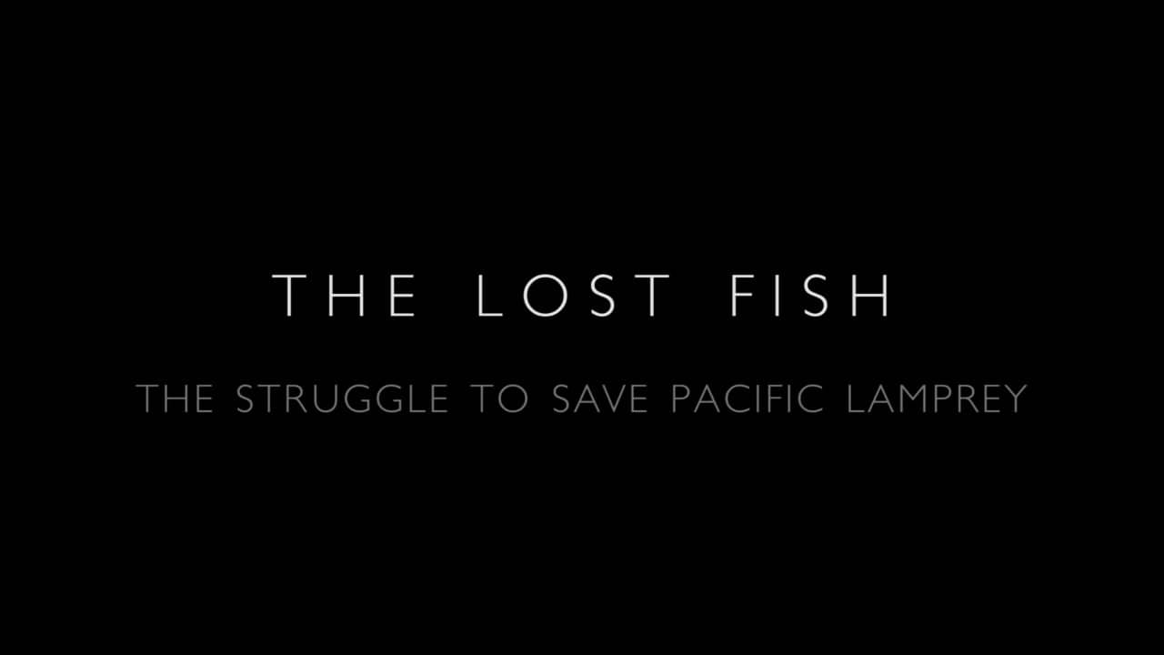 The Lost Fish Trailer on Vimeo