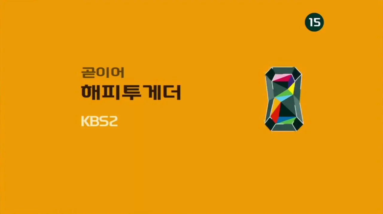 KBS 2TV SD Motiongraphic & Identity