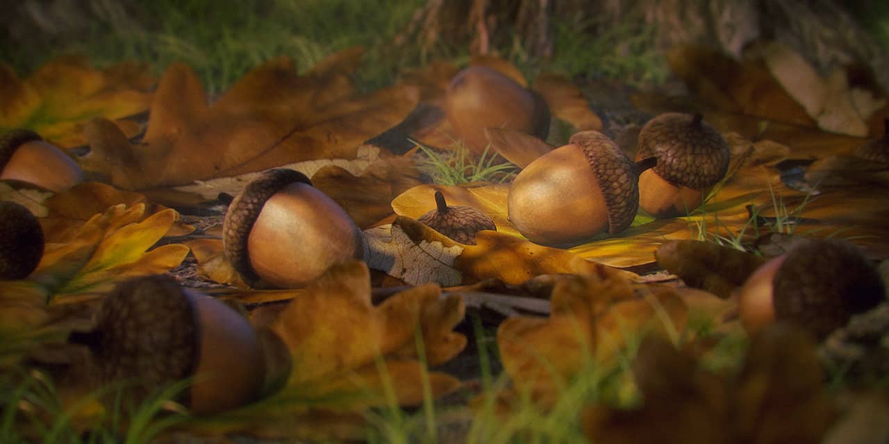 Making of - Autumn Scene on Vimeo